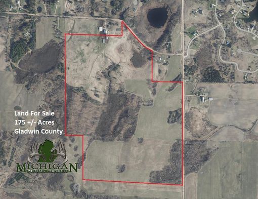 VL Butman Road, Gladwin, MI 48624 | MLS: Gladwin County 175 Acres ...