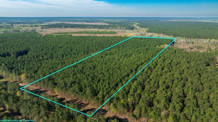 Keysville, Burke County, GA Recreational Property, Undeveloped Land for ...