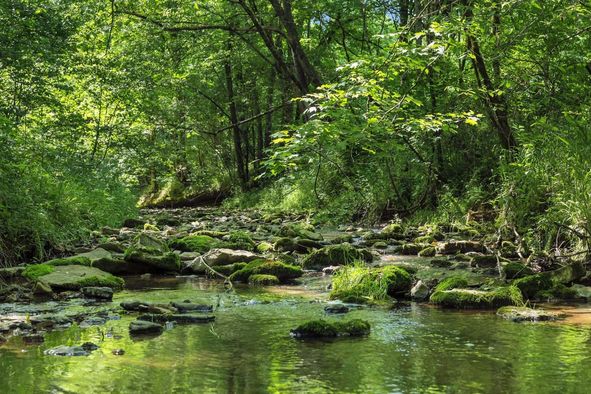 219 Hensley Creek Ln, Whitleyville, TN 38588 | MLS: 2528128 | LandWatch