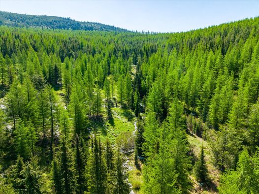 Griffin Creek Road, Marion, MT 59925 | MLS: 30022855 | LandWatch