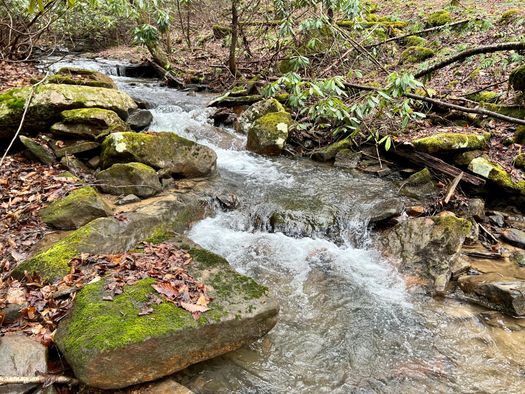 Listonburg Rd, Confluence, PA 19354 | LandWatch