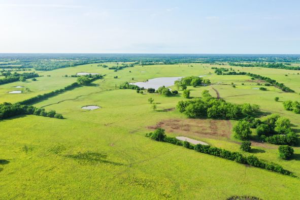 600 acres in Charleston, TX, 75432 | LandWatch