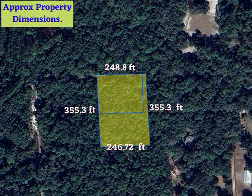 Citra, Marion County, FL Recreational Property, Undeveloped Land ...