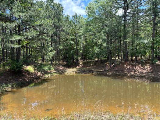 150 acres in Daisy, OK, 74540 | LandWatch