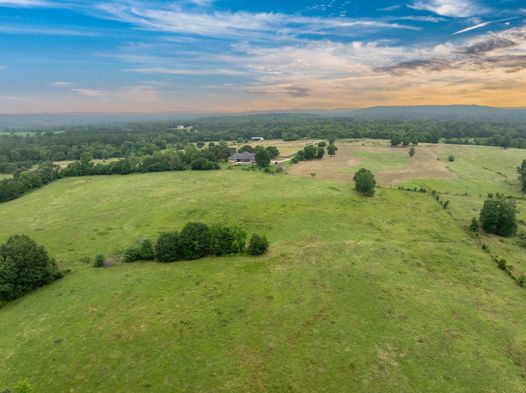 383 CR 2207, Rusk, TX 75785 | MLS: Hill Creek Farms | LandWatch
