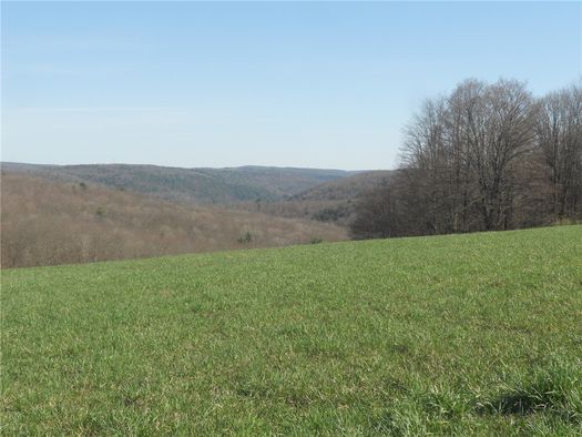 00 Cooper Hill Road, Van Etten, NY 14889 | MLS: R1534553 | LandWatch