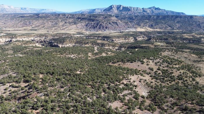 60 acres in De Beque, CO, 81630 | LandWatch