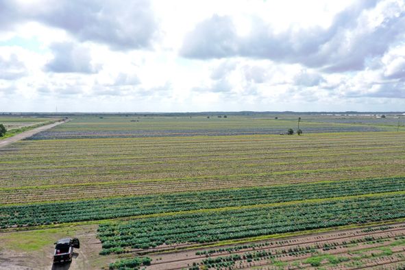 23481 NW 144th Ave, Okeechobee, FL 34972 | MLS: F10450484 | LandWatch