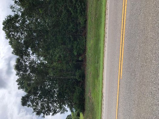 16031 Montgomery Highway, Highland Home, AL 36041 | LandWatch