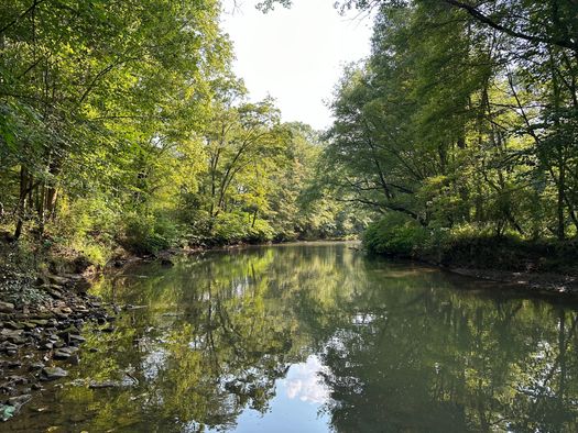 U.S. 219, Cherry Tree, PA 15724 | LandWatch