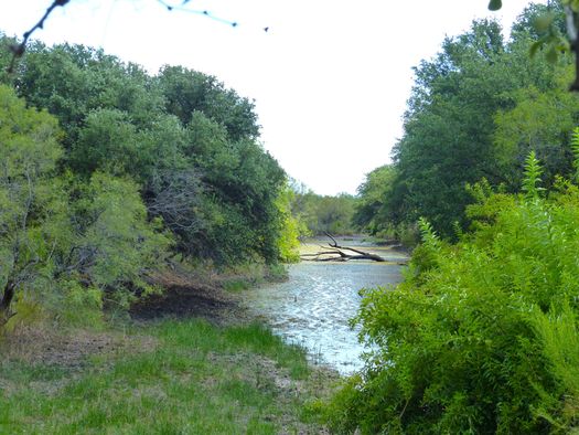 South Farm To Market 2028, Melvin, TX 76858 | LandWatch