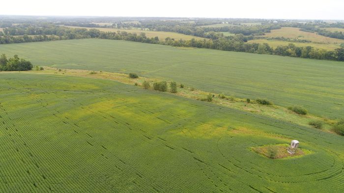 State Highway Y, Spickard, MO 64679 | LandWatch