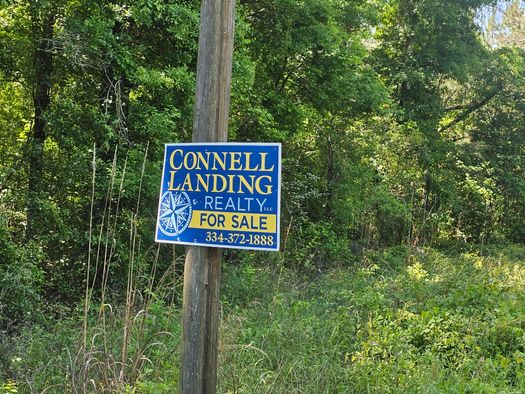 Alabama 223, Banks, AL 36005 | LandWatch