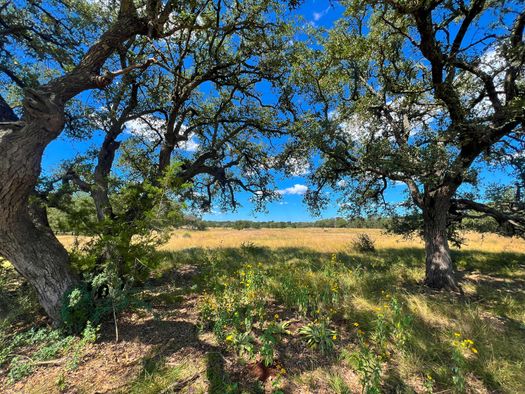 Bobby Shelton Ranch Road Northwest, Kerrville, TX 78058 | LandWatch
