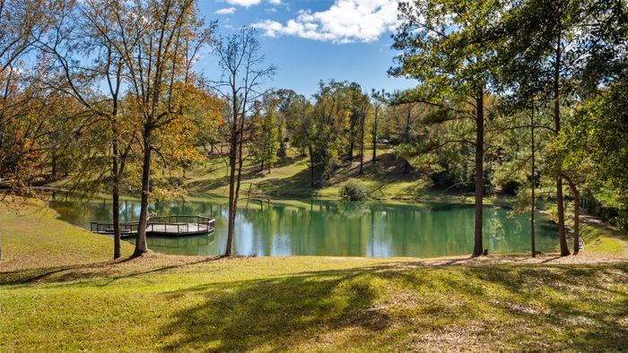 1571 GA-41, Buena Vista, GA 31803 | LandWatch