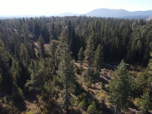 Veit Road, Diamond Lake, WA 99156 | LandWatch