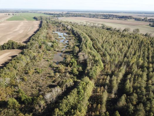 130 acres in Lake Bruin, LA, 71357 | LandWatch