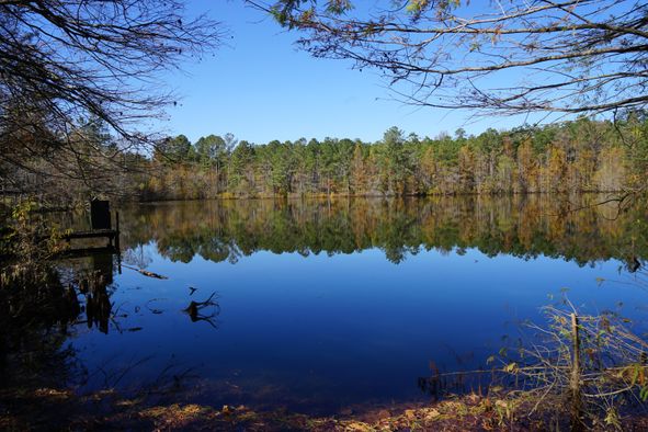 21077 U.S. Highway 31, Letohatchee, AL 36047 | LandWatch